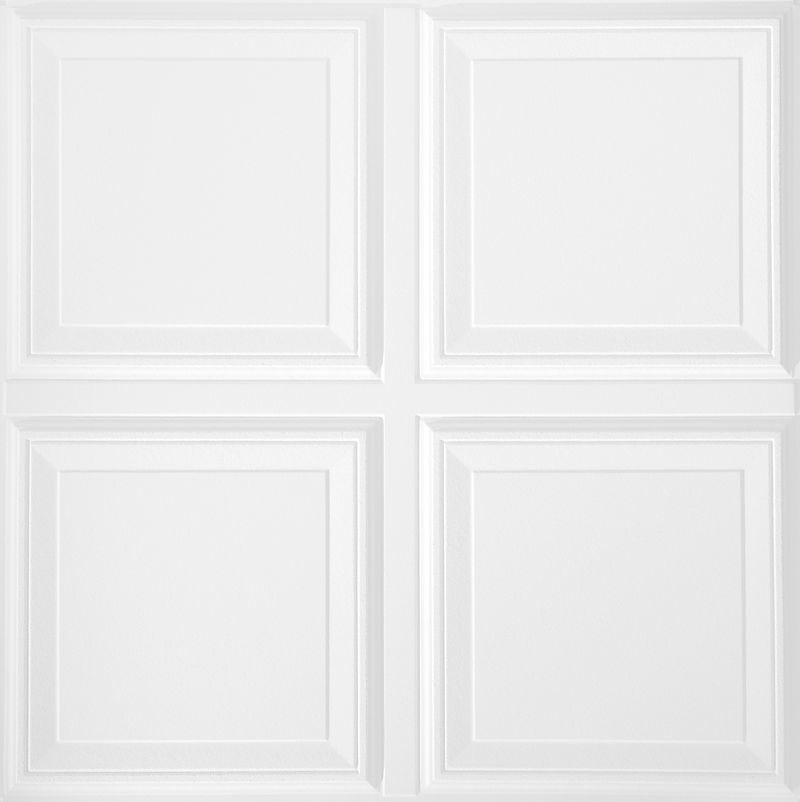 Armstrong Raised Panel