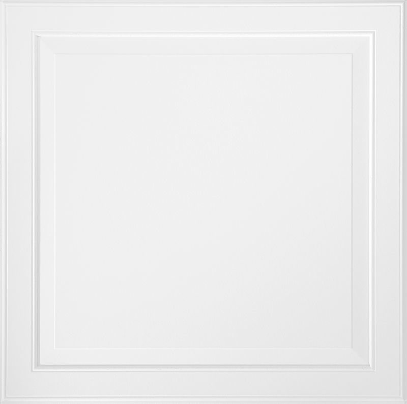 Armstrong Single Raised Panel