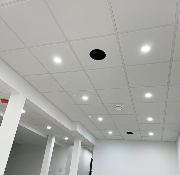 Residential Ceilings