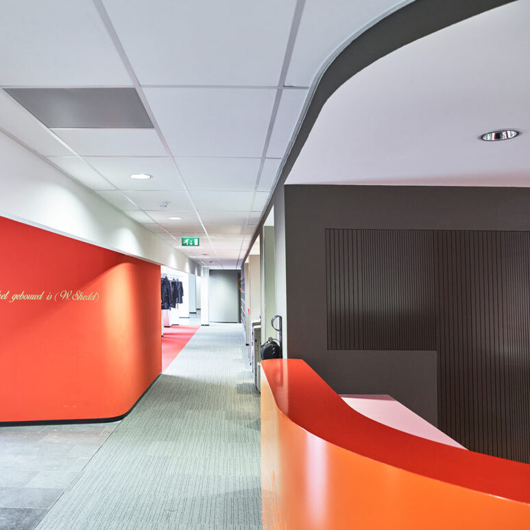 Brillianto Flat Lay-in