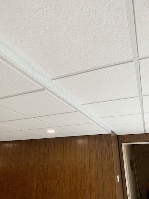 Residential Ceilings