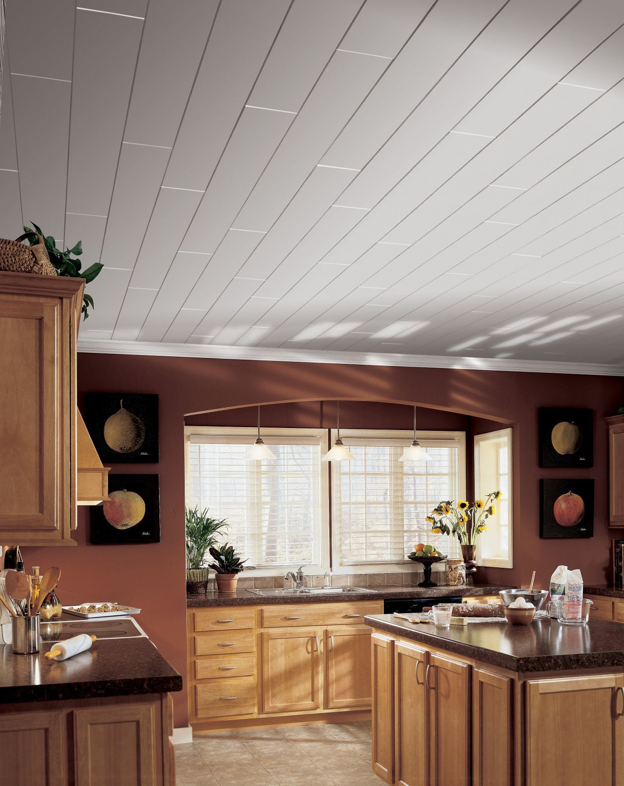 Residential Ceilings
